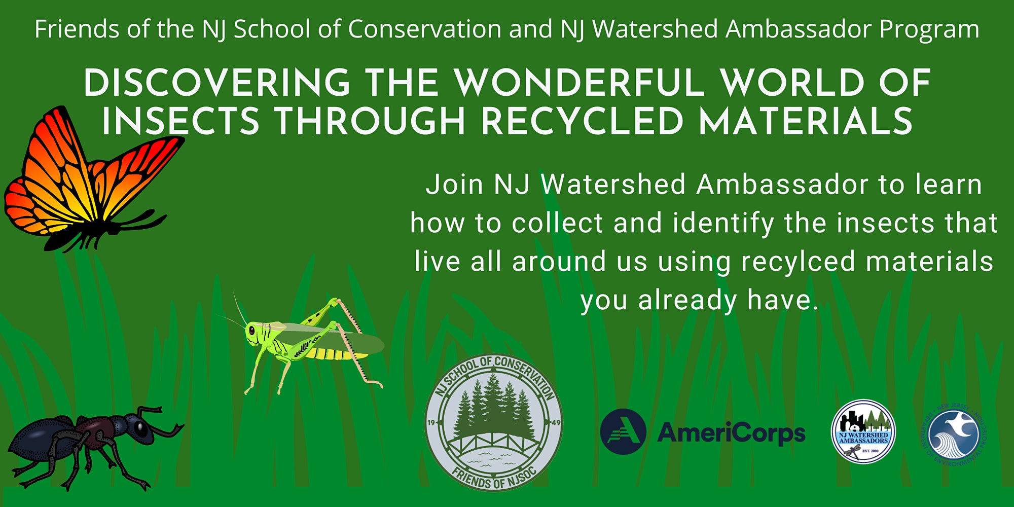 Discovering the Wonderful World of Insects using Recycled Materials ...