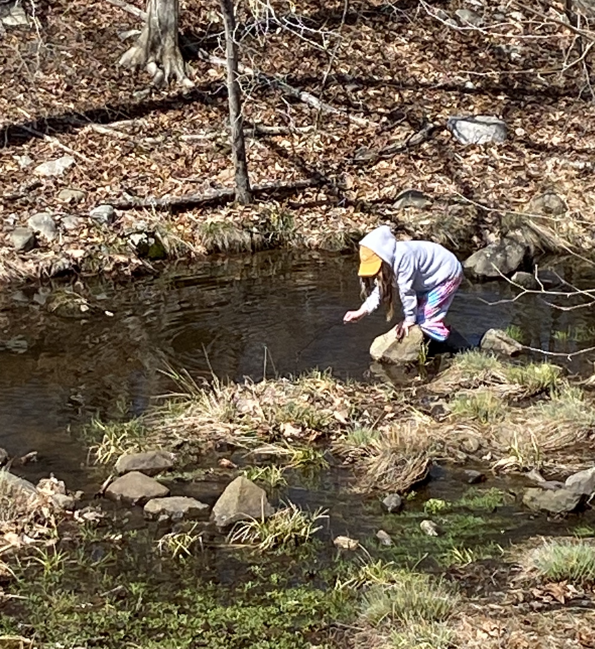 Stream Stomp Fun at NJSOC - The New Jersey School of Conservation