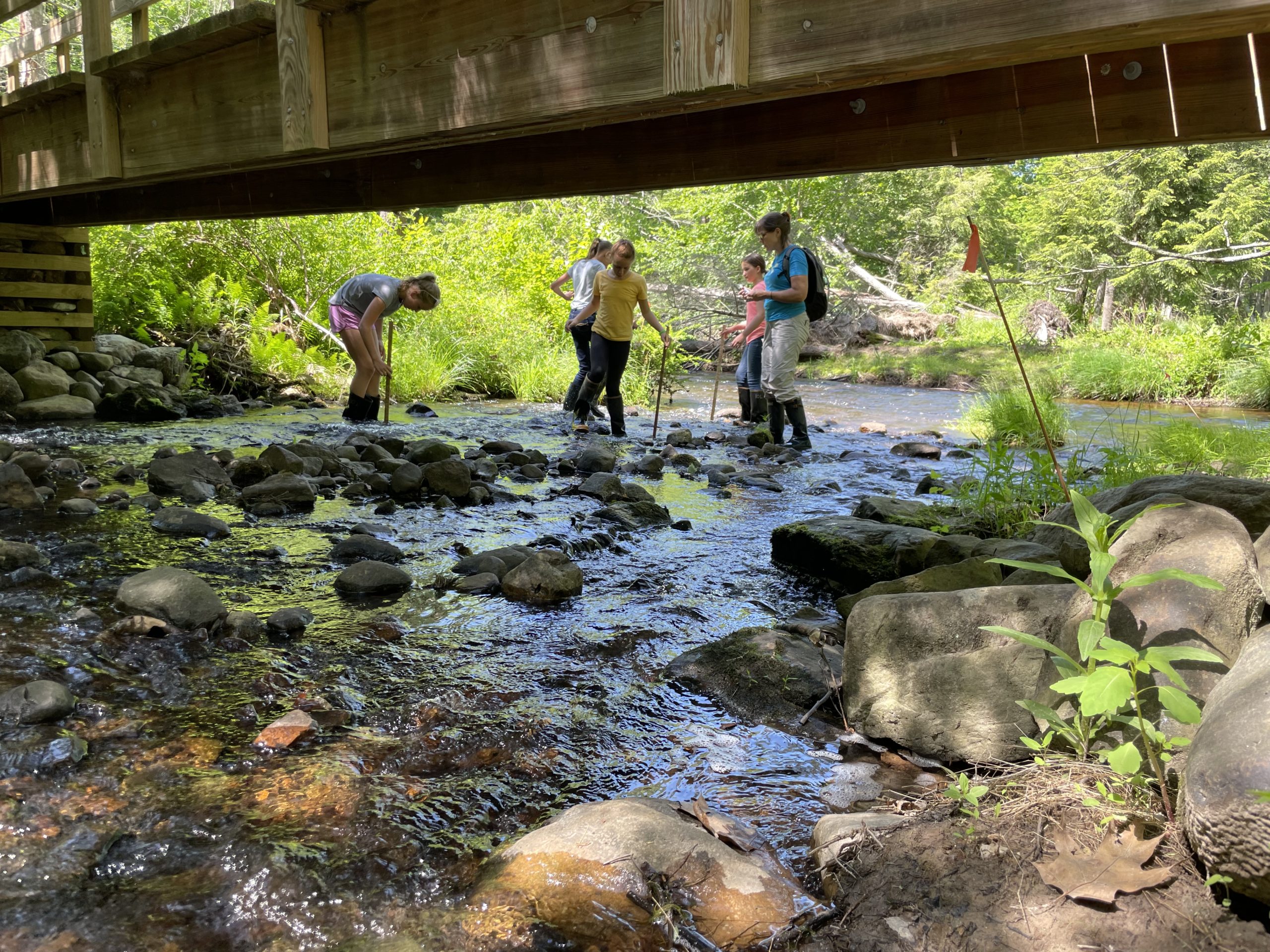 Kent Place School Joins NJSOC for Environmental Education Field Trip ...