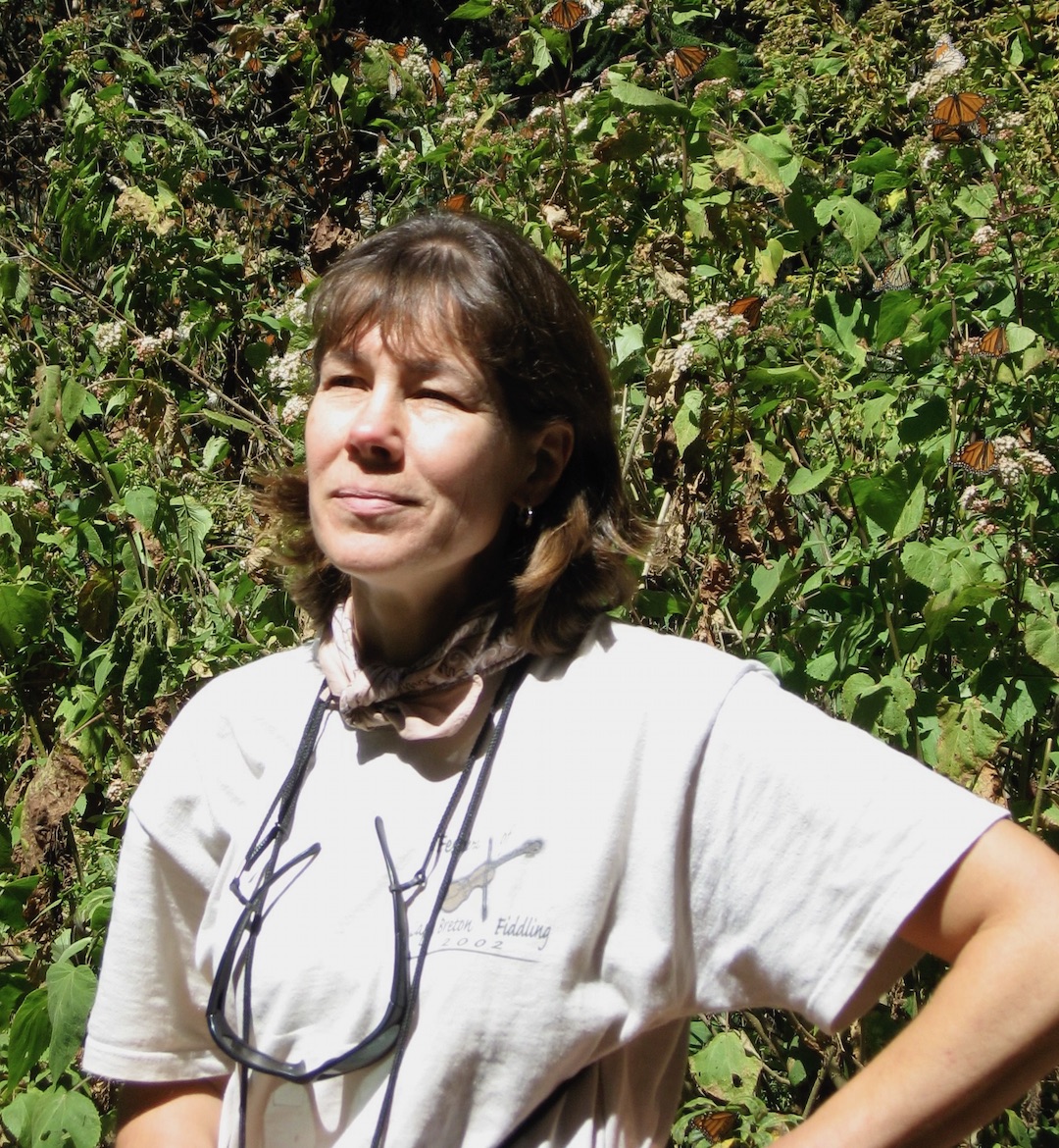 Robin Anderson - The New Jersey School of Conservation